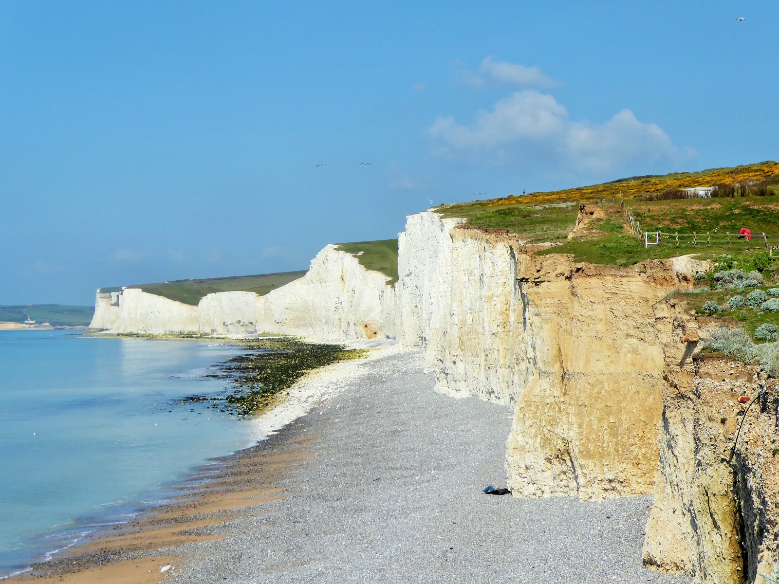 Seven Sisters Cliffs ~ London via Surrey