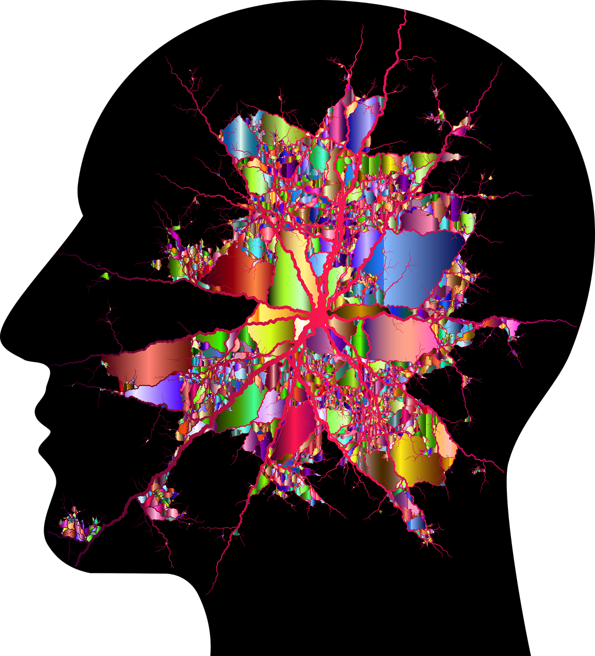 Handicap psychique VS handicap mental (et vidéo du psycom sur l ...