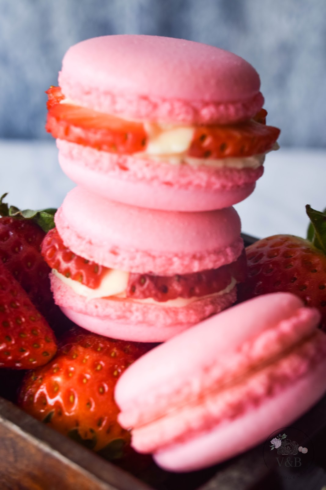 Macarons de Fresa - Vanilla & Berries