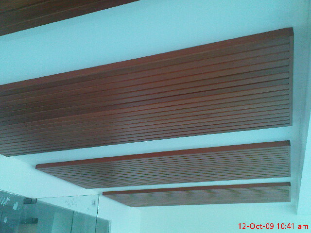 woods N curves: plaster ceiling