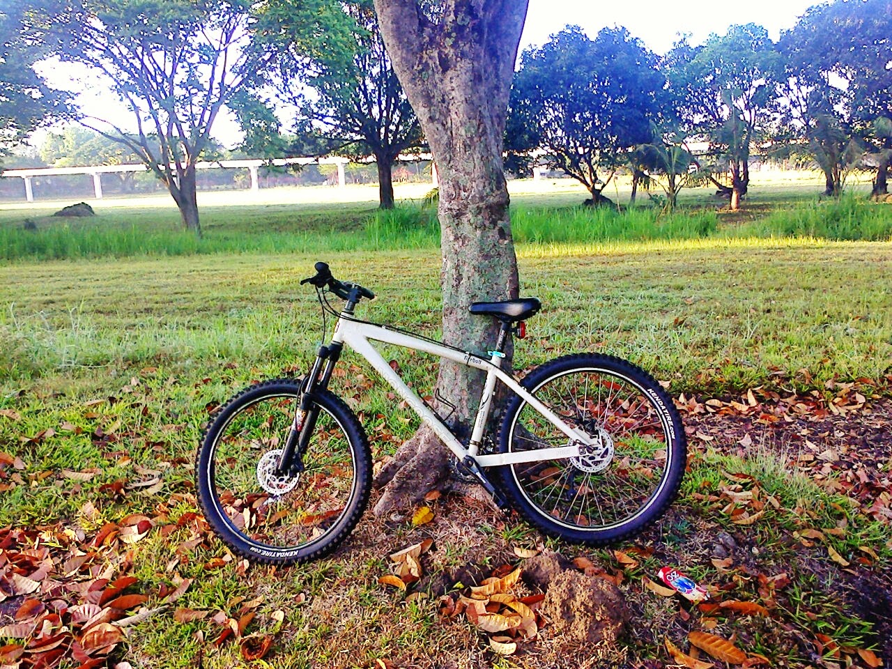 Ang mga Pakikihamok ni Kapitan Basa