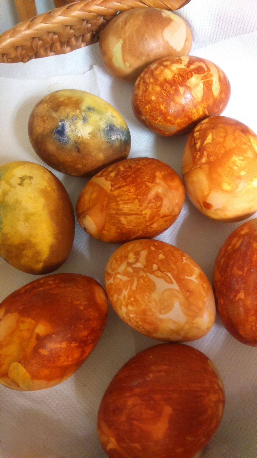 BURVĪGIE BERNIEŠI (Bernes ganu suņi)