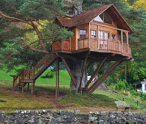 Build Your Own Treehouse | Bio And Green Living