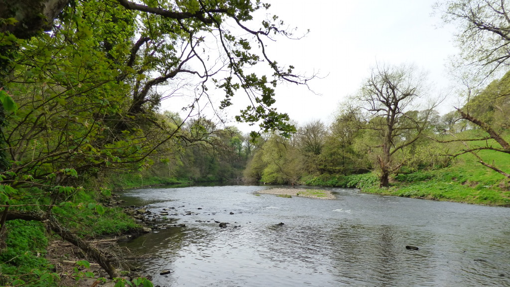 Walks for landscape painting subjects: Walk to Kepier Woods