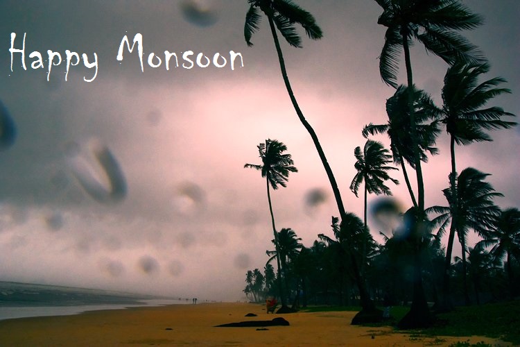 Free Download Monsoon HD Photo Gallery and Images | Festival Chaska