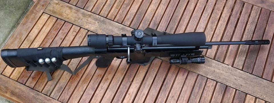 AIR RIFLES AND SHOOTING: QB78 IN JACKAL STOCK