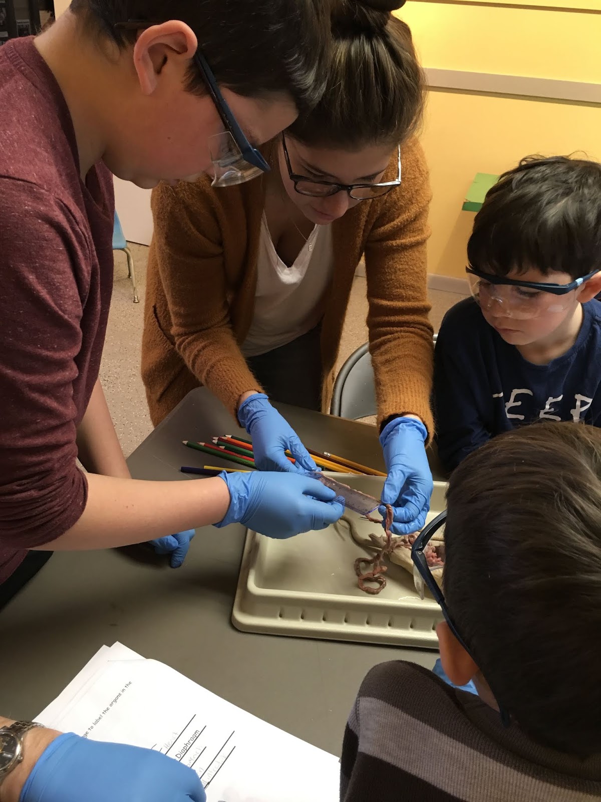 Bloomsburg University College of Science and Technology: Grossology Lab ...