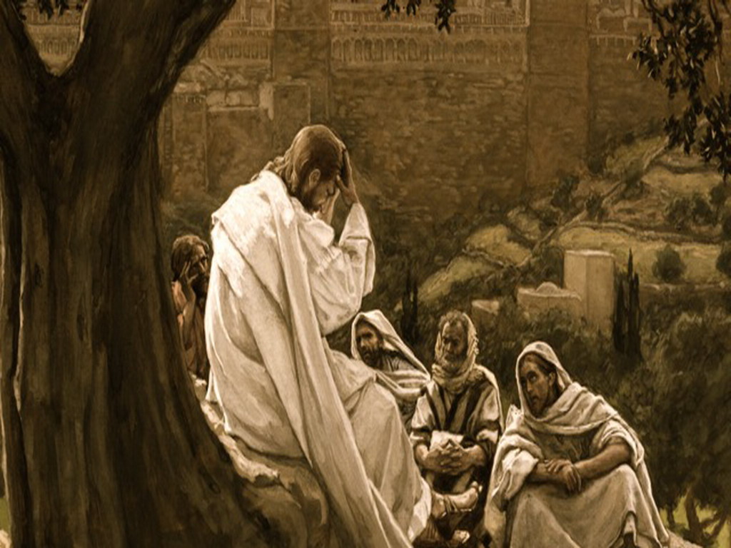 La Enciclopedia de Dios: AY DE TÍ COROZAÍN, AY DE TÍ BETSAIDA