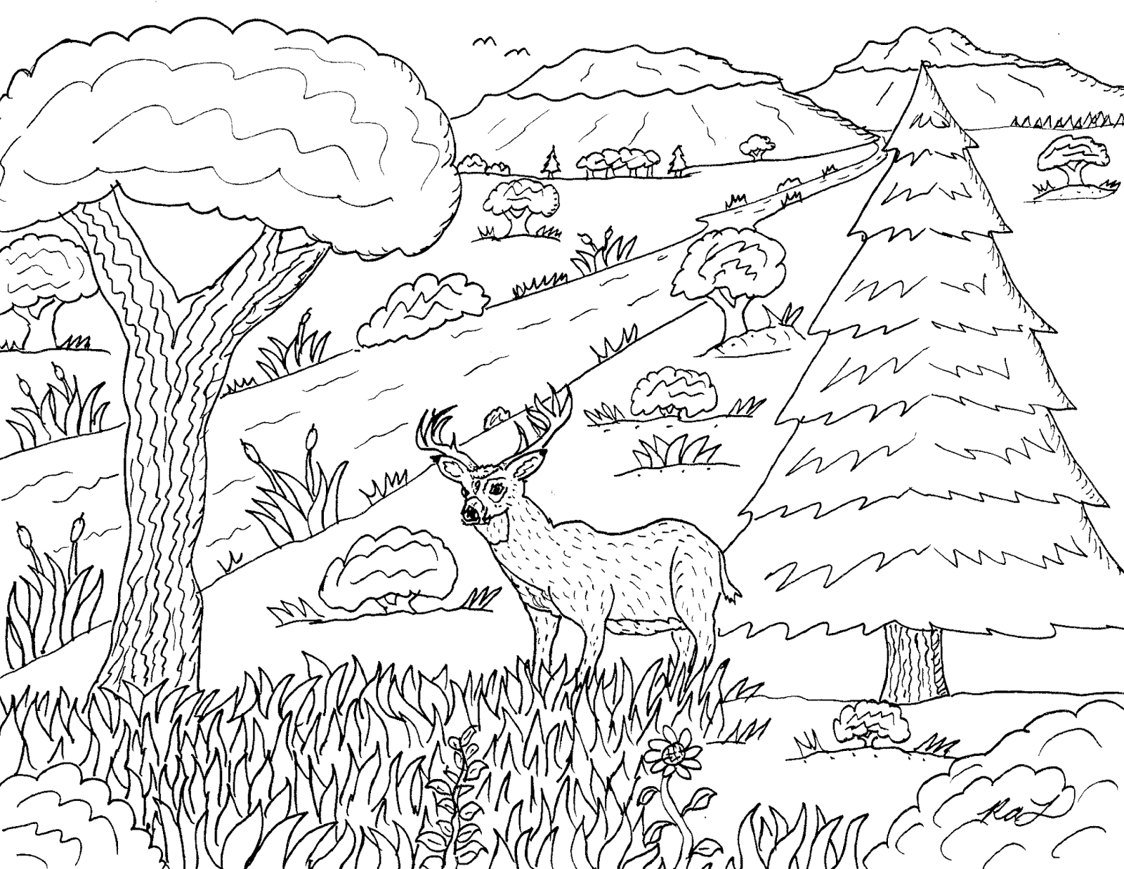 Robin's Great Coloring Pages: Deer Family of North America