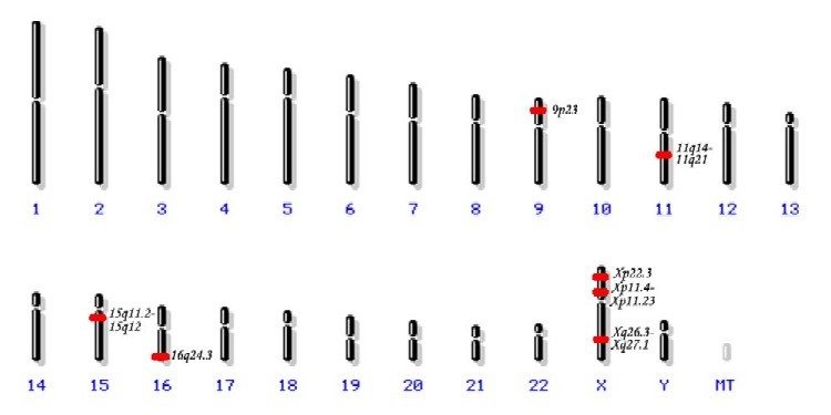 ALBINISMO OCULOCUTÁNEO: Genes y cromosomas implicados