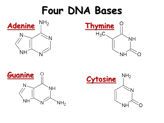 savvy-chemist: GCSE OCR Gateway Organic Chemistry C6.2h The Structure ...