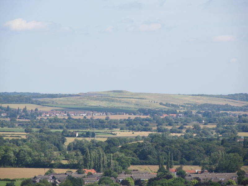 UK Wanderings: Oxclose Wood and Meden Trail