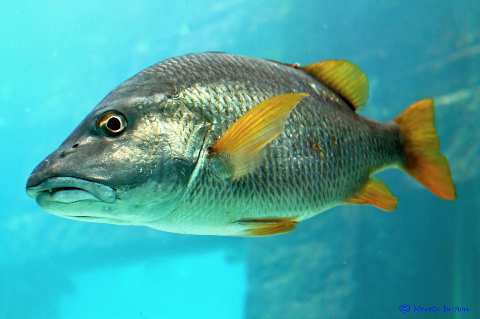 The Sea is Calling – Outside the Limits