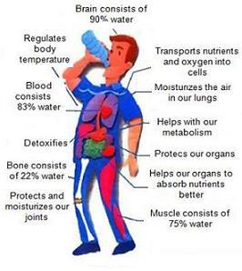 Does RUSHFIT Workout Really Work? : How Do Water Plays an Important ...