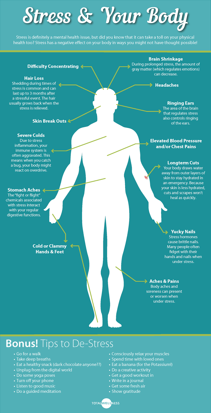 Balanced Out: Study Tip Sunday: How Stress Affects Your Body