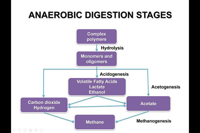 The four stages of anaerobic digestion - Treating Organics
