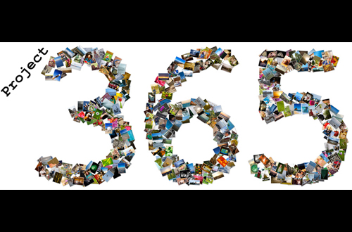 PHOTOGRAPHY101: 11 Tips to Succeed with a Photo365 Project