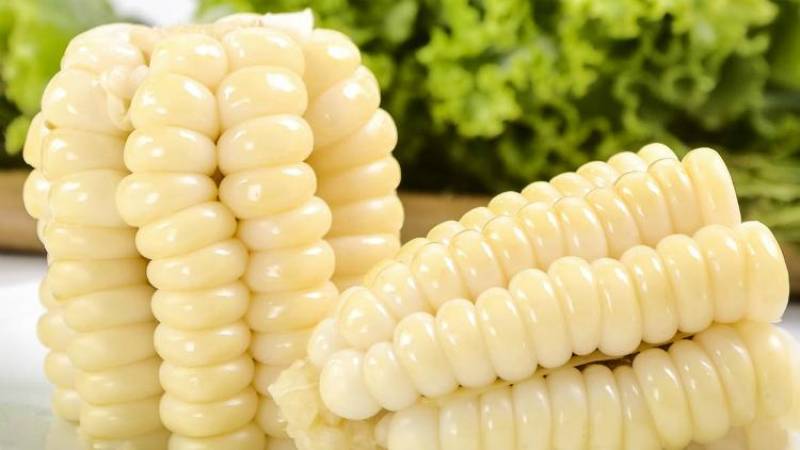 PREPARACIÓN CORRECTA DE UN RICO CHOCLO SANCOCHADO