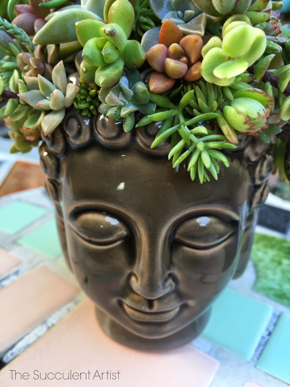 Buddha Head Succulent Planter