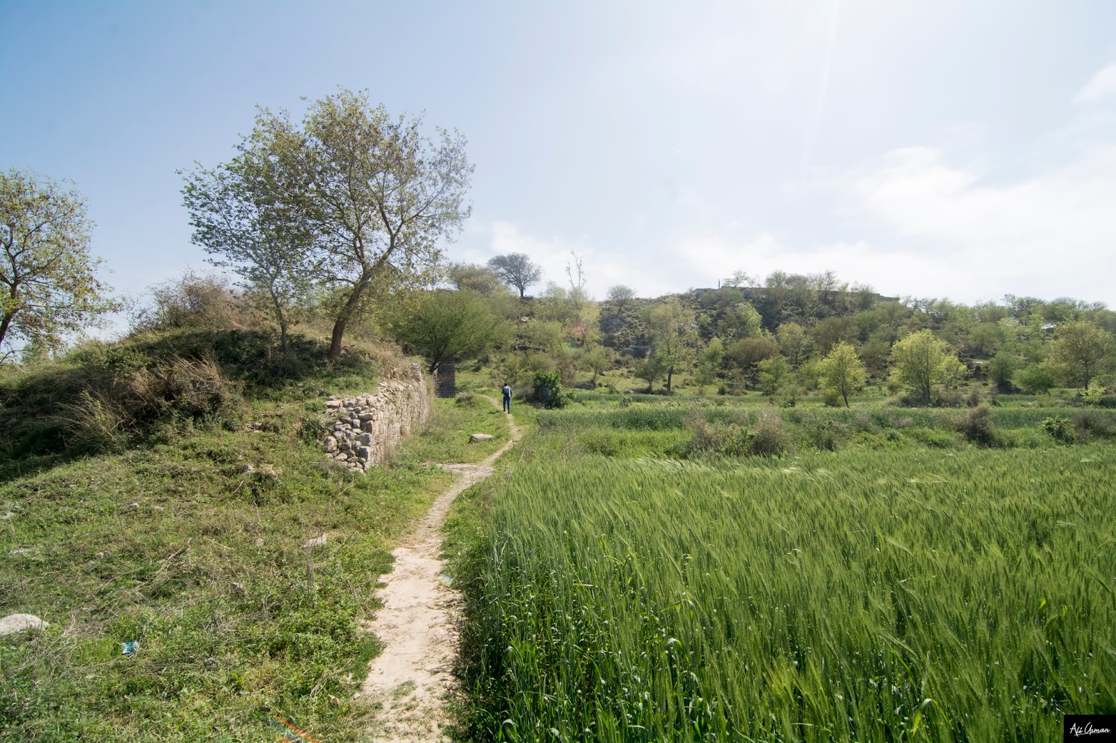 Ali Usman Baig : Kunala Stupa Taxila