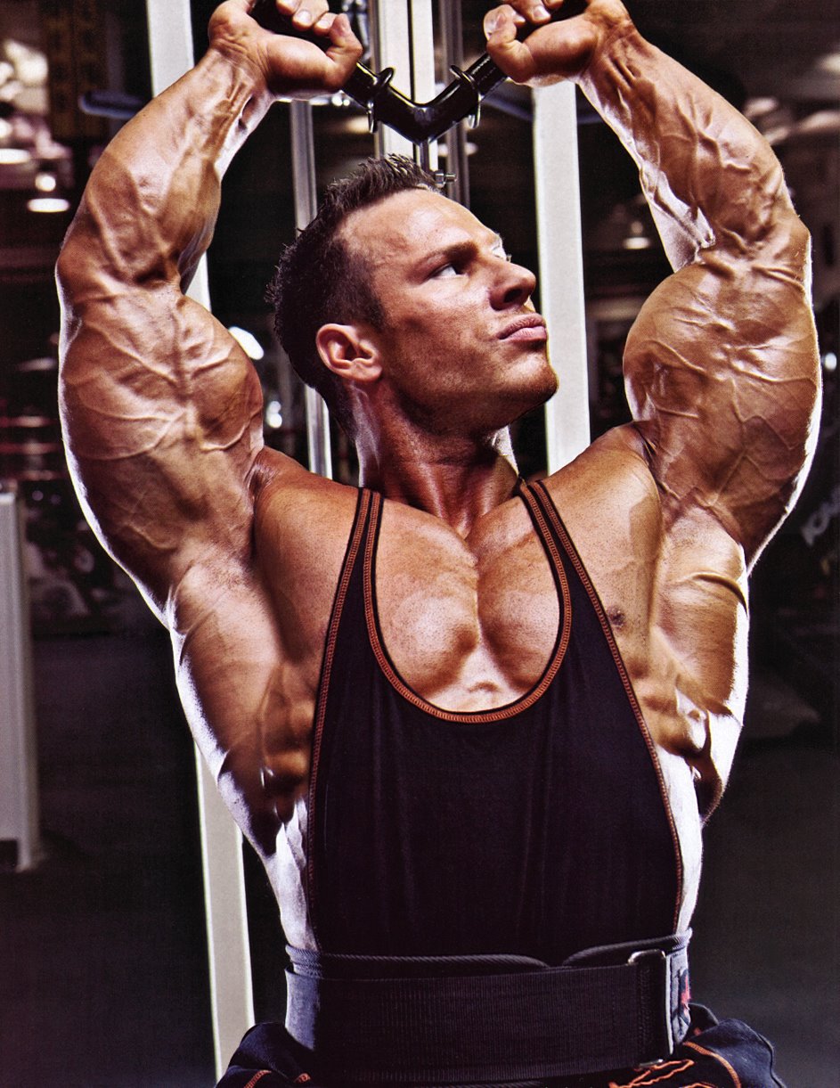 Knights of Bodybuilding: MICHAEL LIBERATORE