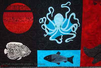 Michigoose's gander at quilts & life: Aullwood 2011: Liz Piatt