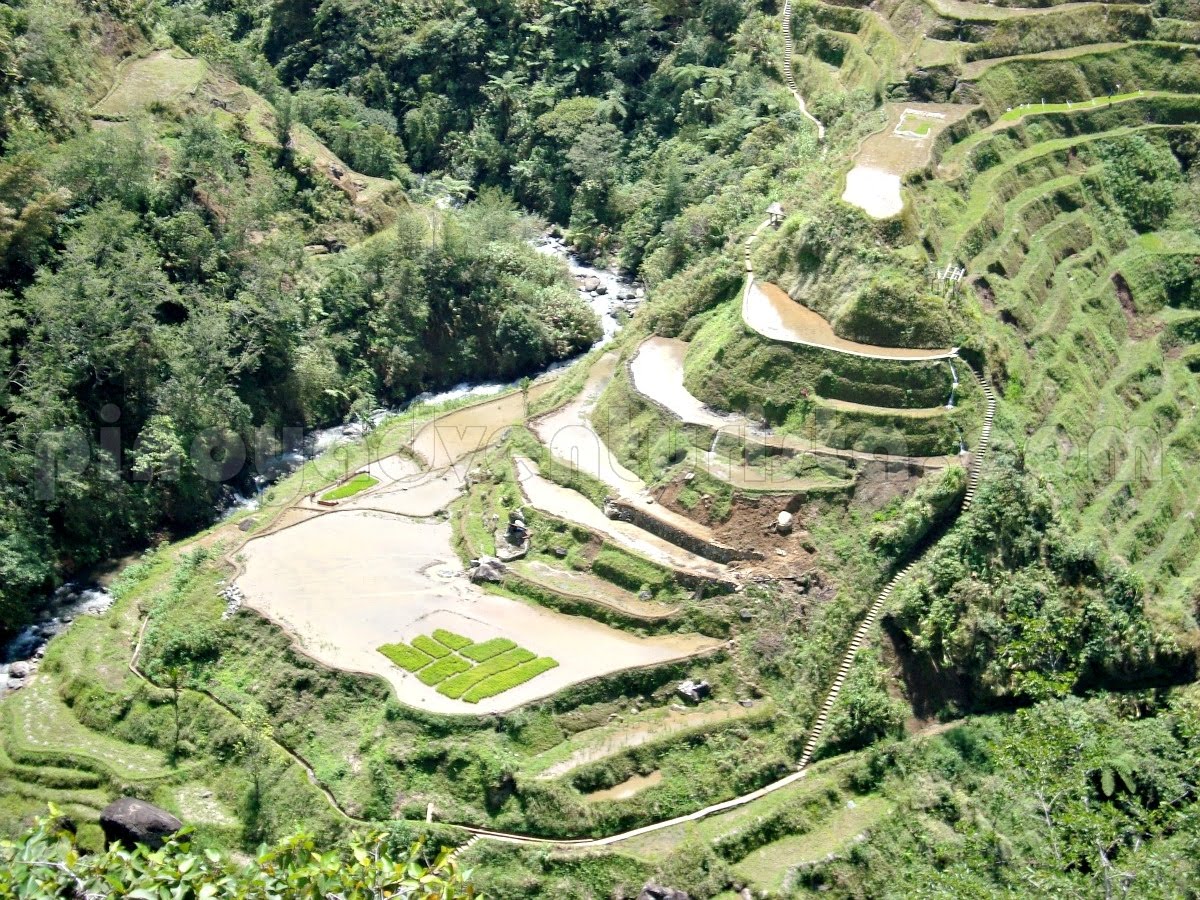 Ifugao - Seeing the Banaue Rice Terraces, "A Childhood Dream Fulfilled ...