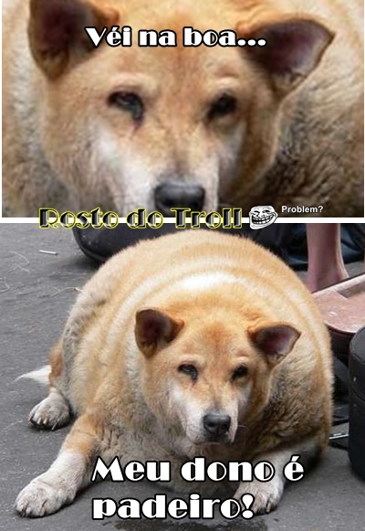 Cachorro do padeiro - Rosto Do Troll
