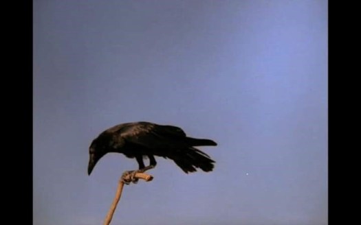 John Kenneth Muir's Reflections on Cult Movies and Classic TV: The Cult ...