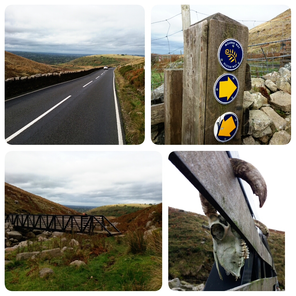 Grow Our Own ~ an ecotherapy blog: 101 miles of the Ulster Way