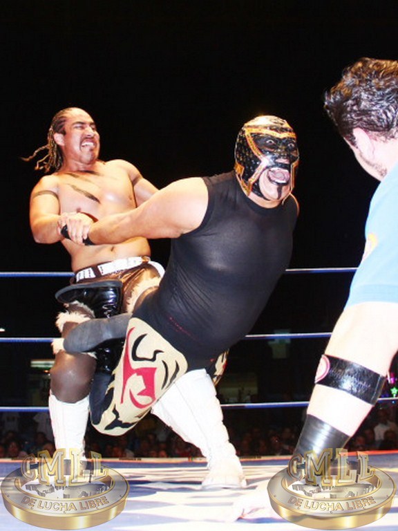 ESTRELLAS DEL RING.: ¿Qué le paso a LADY APACHE?