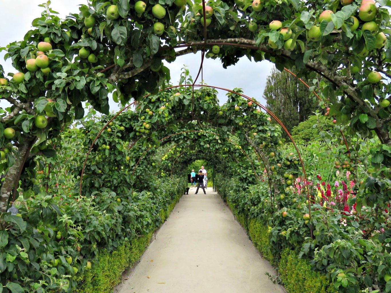 just saying ...: The Lost Gardens of Heligan in high summer ...