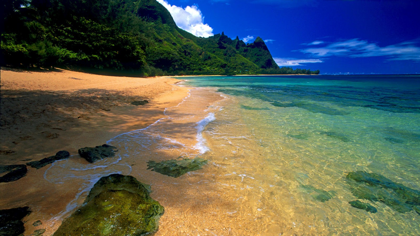 Praia paradisíaca | Imagens de Fundo