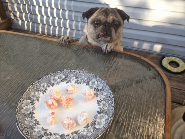 Urban Hounds: Tasty Tuesday-Cheese Ball!!!