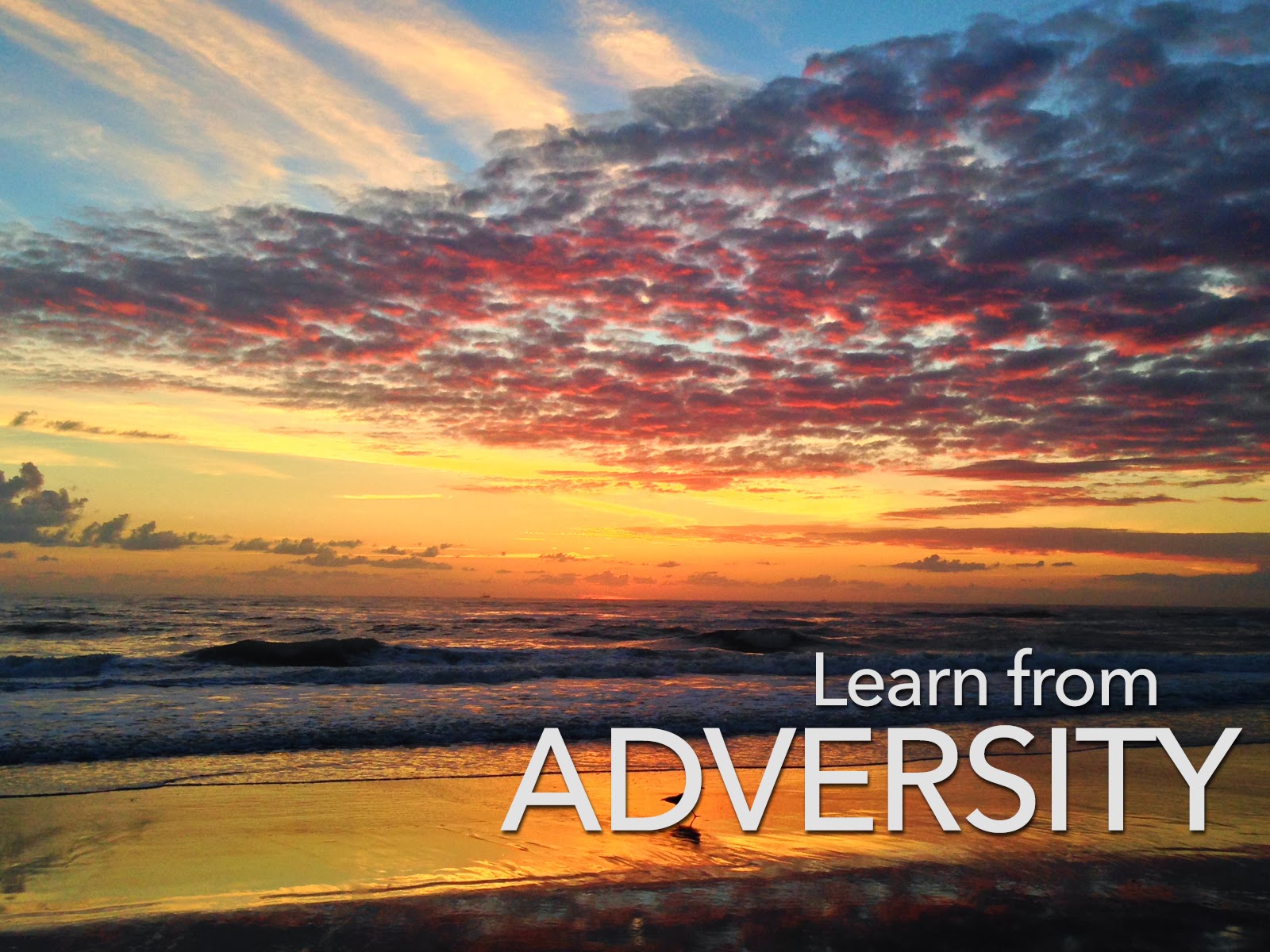 Welcome to DavidCharlton.blogspot.com: November 24, 2013 From Our Heart ...