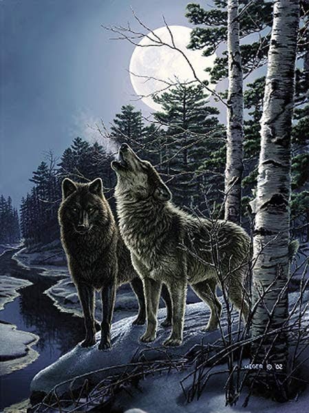 White Wolf : James Meger - Wildlife artist who paints with hidden ...