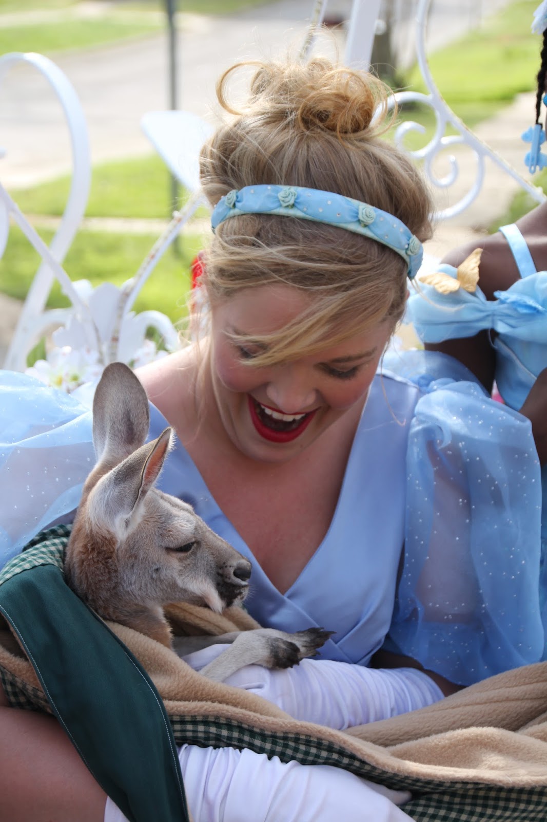 The Princess's Carriage