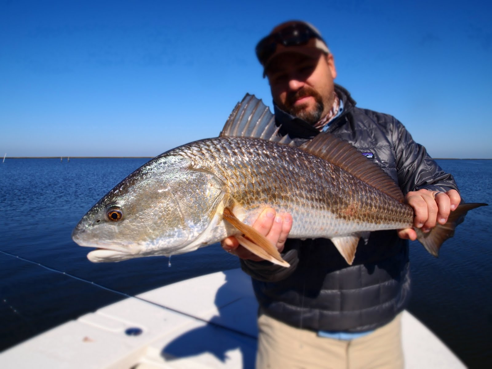 © Ofishaly Hooked Charters