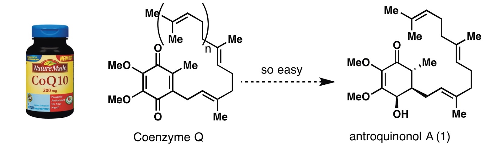 Open Flask: We made antroquinonol A then did things with it