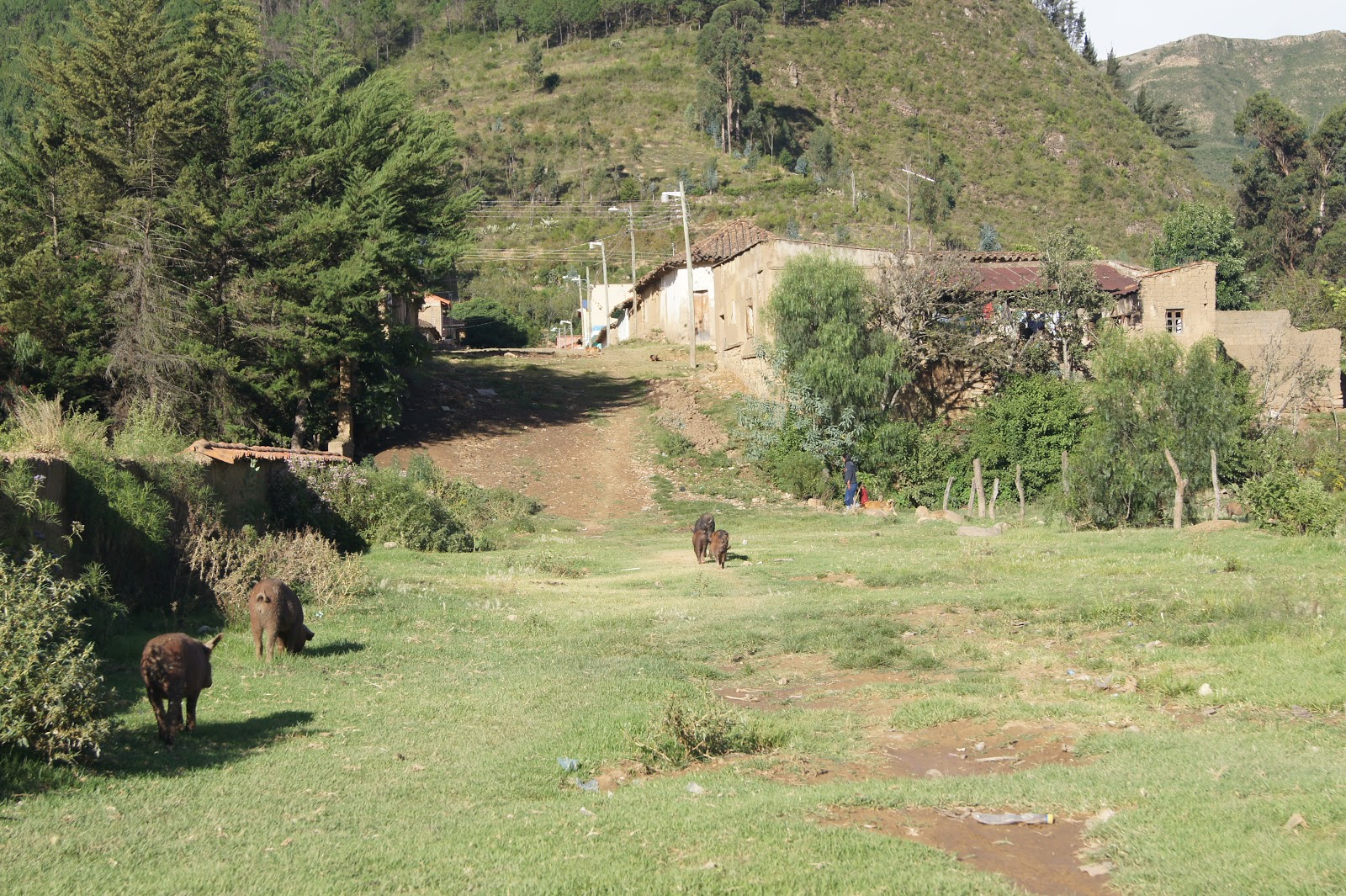 viaggiolatinoamerica: VILLA SERRANO Bolivia