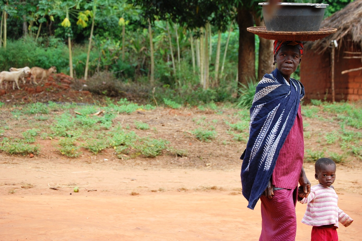 Luís Graça & Camaradas da Guiné: Guiné 63/74 - P9016: Memória dos ...