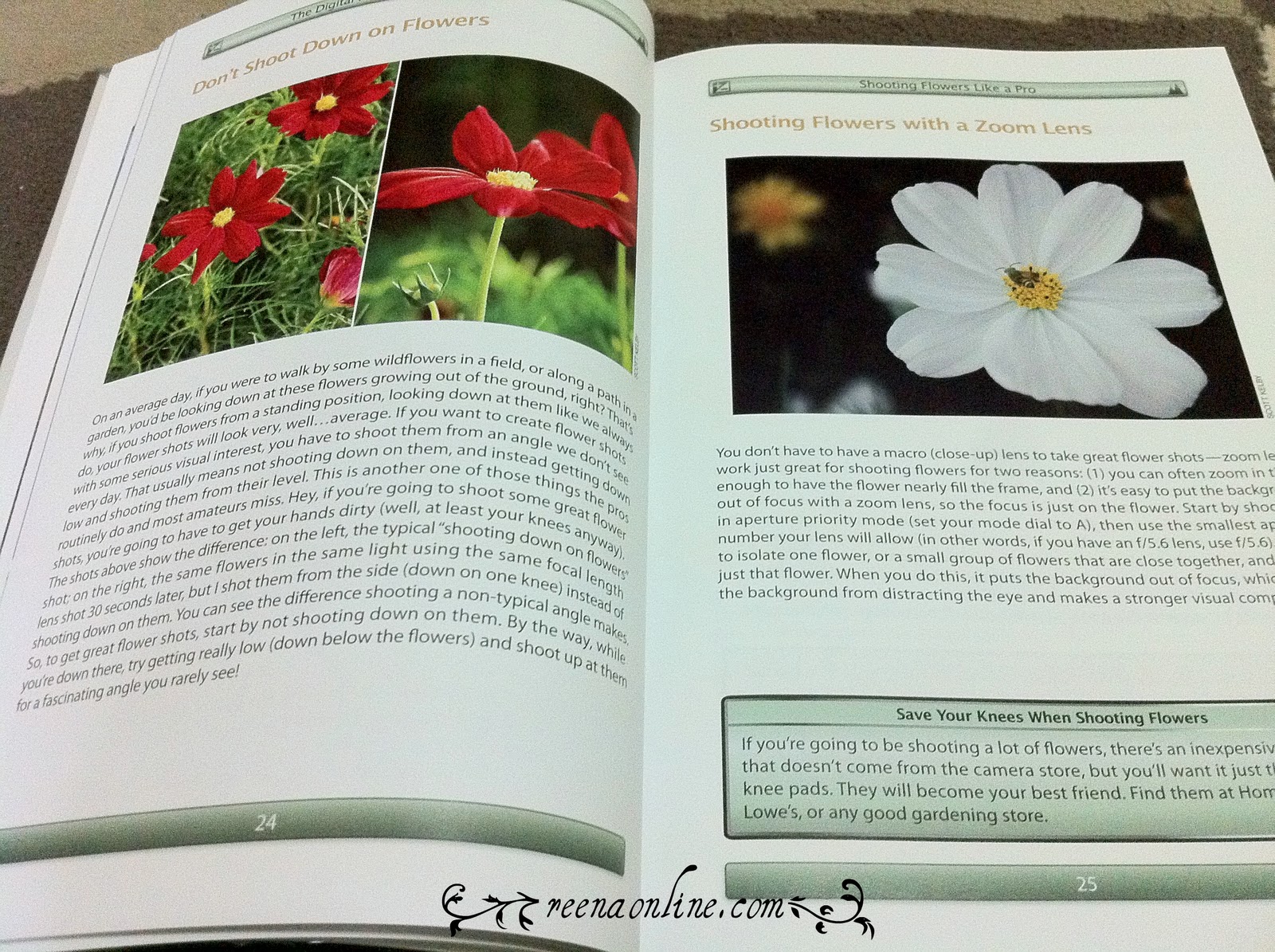 Reena's Online: Buku Digital Fotografi