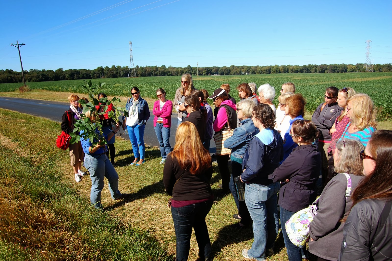 The Foodie Farmer: Hosting a Field to Fork Farm Tour