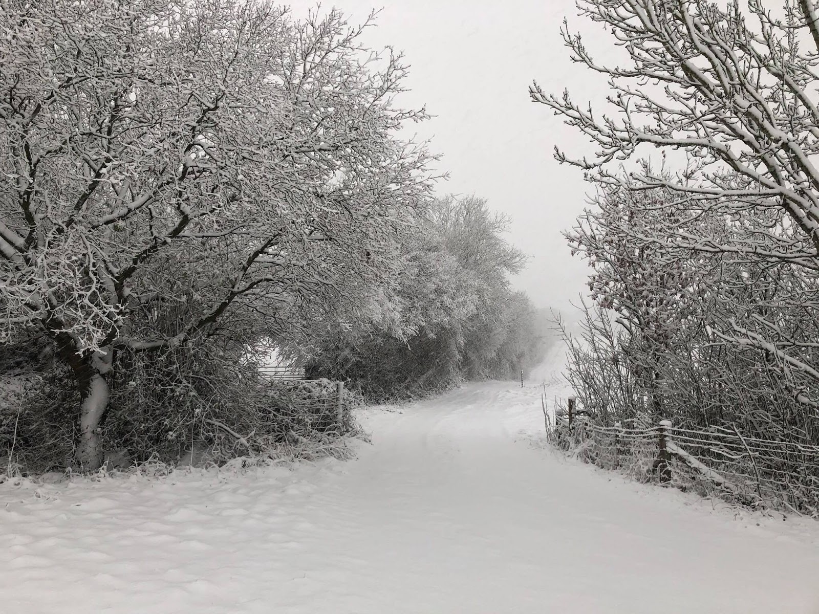 Photos // Let it Snow, Let it Snow, Let it Snow... Winter Magic ...