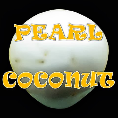 Thai Amulet And AmuletsTalismans: Authentic Genuine Coconut Pearl ...