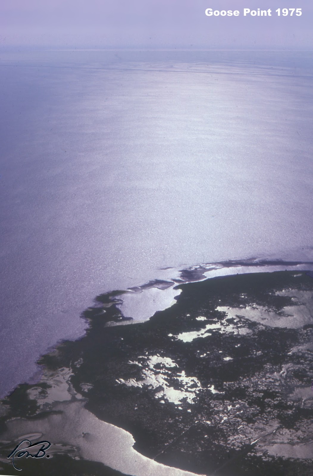 Tammany Family: Goose Point, Looking Towards Causeway 1975