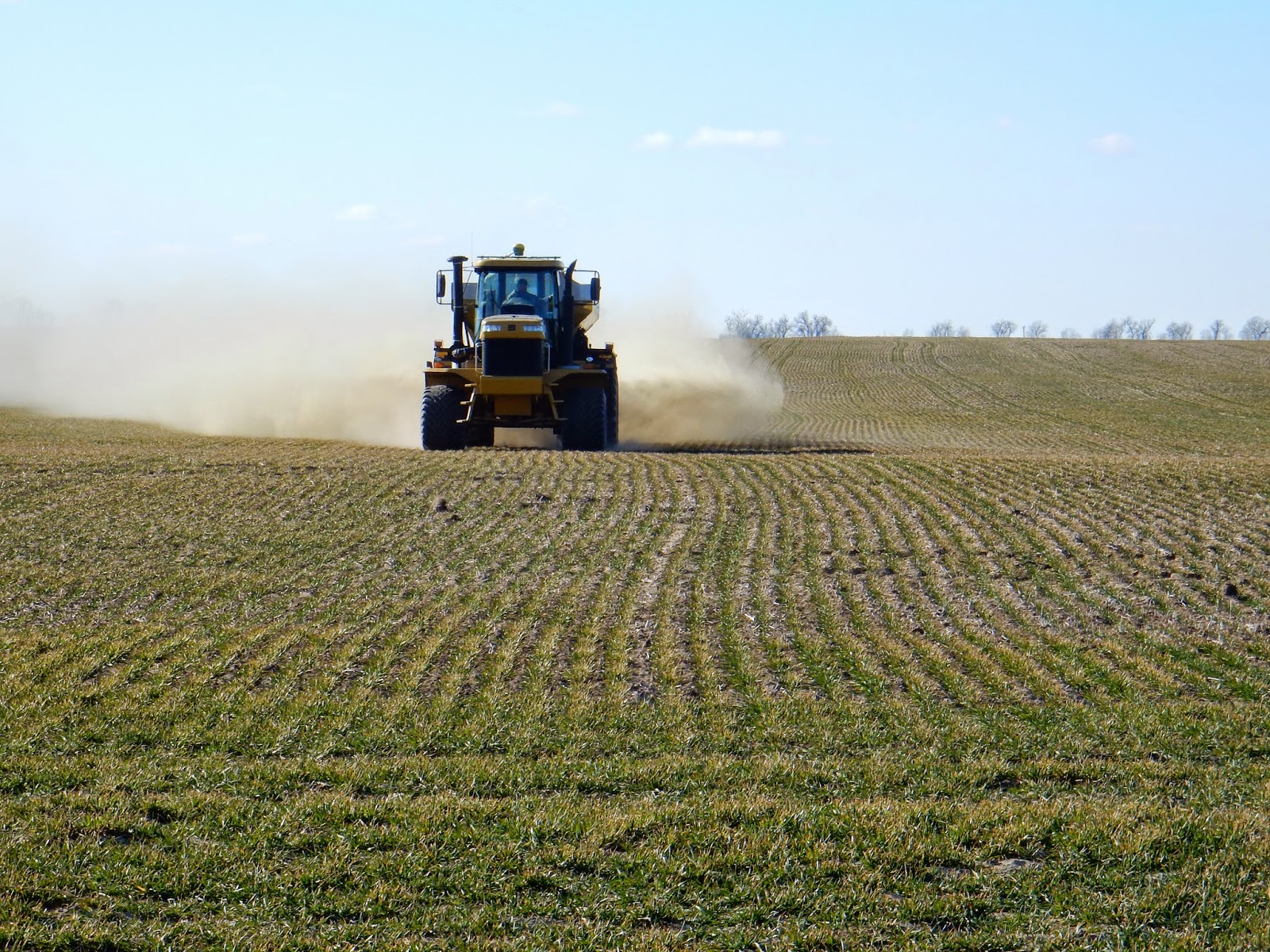 Kim's County Line: A Twist of Lime