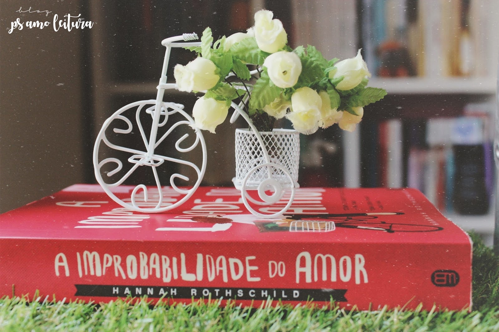 PS Amo Leitura: Resenha | A improbabilidade do amor, de Hannah Rothschild