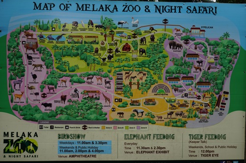 Fun Activities at Melaka Zoo & Night Safari
