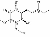 アントロキノノールの概要 ~ Antroquinonol